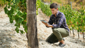 The World's Most Unusual Ph.D. & Doctorate Degrees Online PhD Degrees